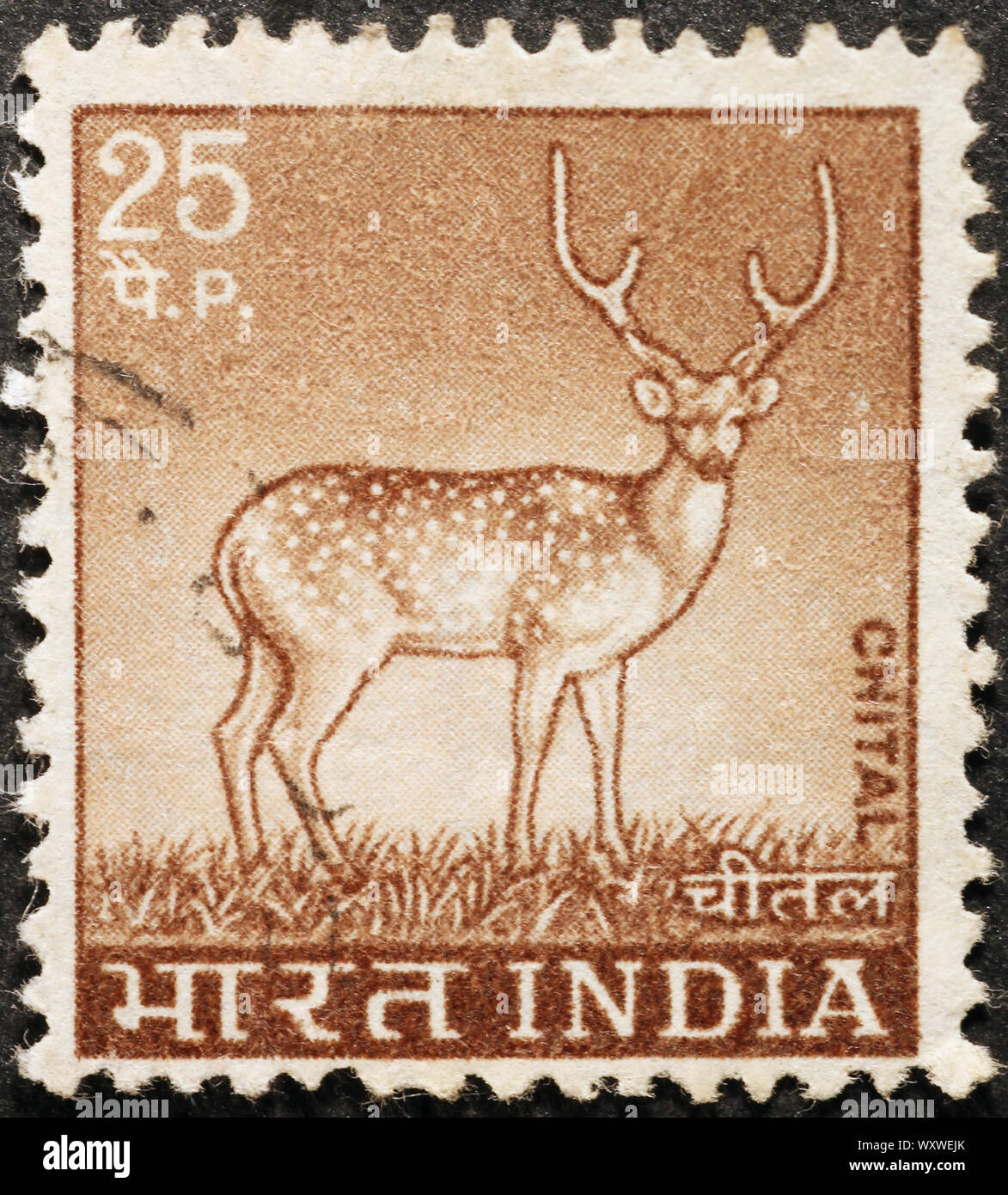 Spotted deer on vintage indian postage stamp Stock Photo - Alamy