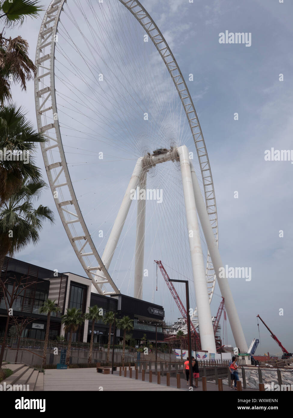 Bluewaters blue waters Dubai, The world’s tallest observation wheel ...