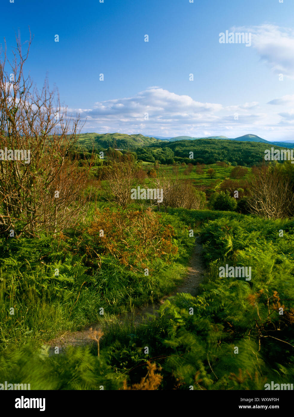 Gyw hi-res stock photography and images - Alamy