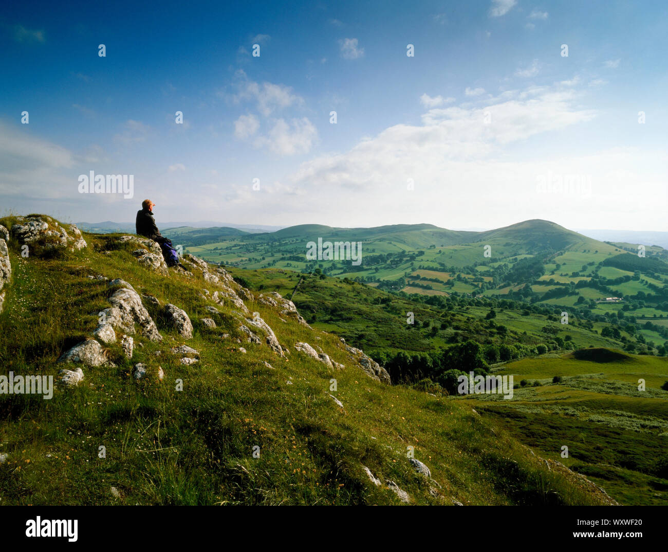 View from west edge /summit of Bryn Alyn Limestone ridge, over the Alyn ...
