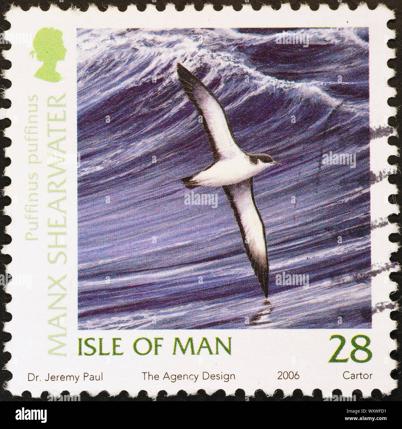 Manx shearwater flying over waves on postage stamp Stock Photo - Alamy