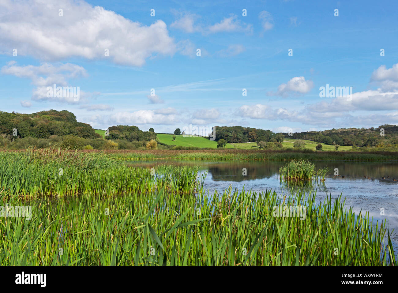 Nature reserve lancashire hi-res stock photography and images - Alamy