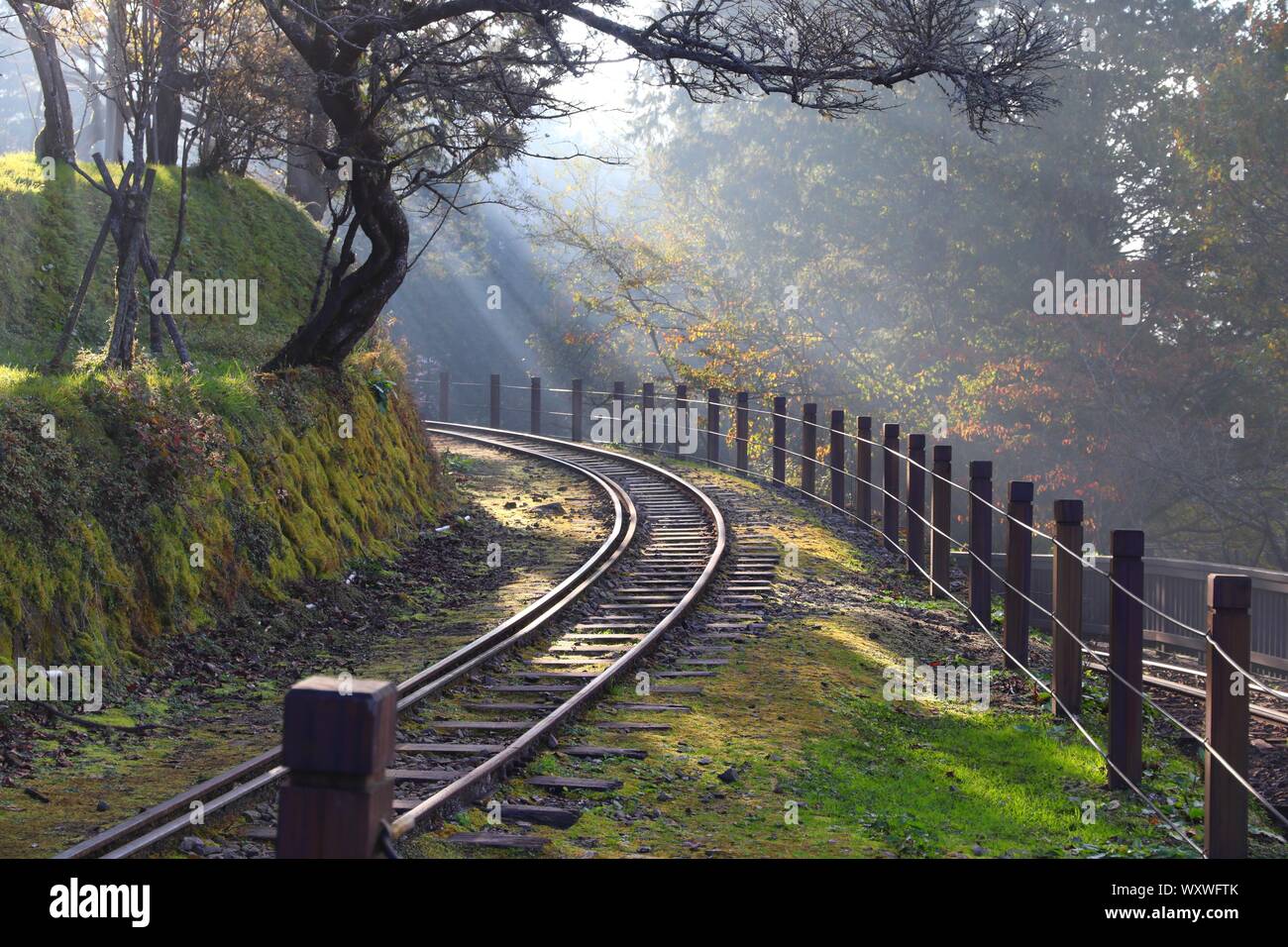 Alishan national scenic area hi-res stock photography and images - Alamy