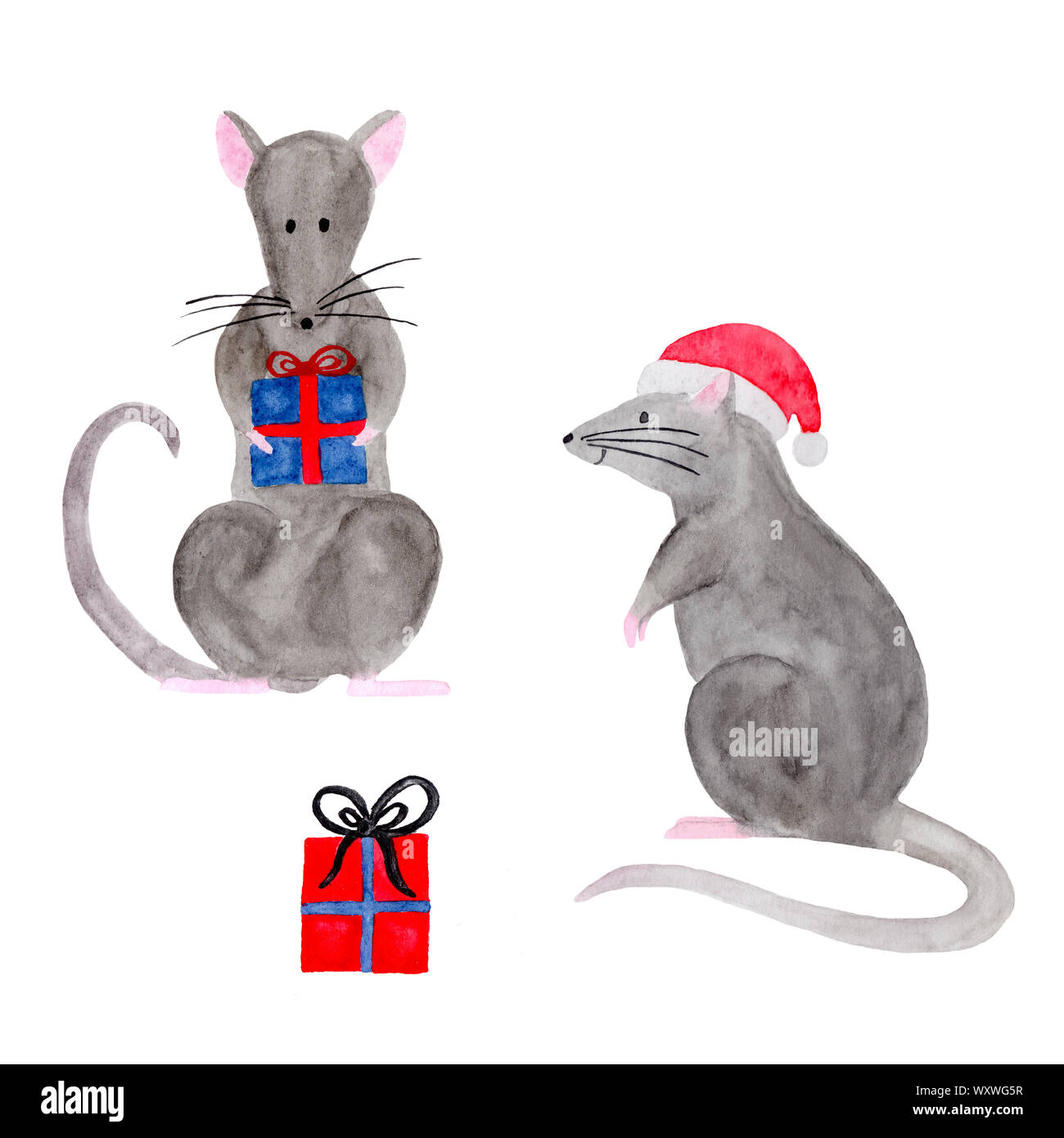 Watercolor set of Christmas rats isolated on white background. Hand ...