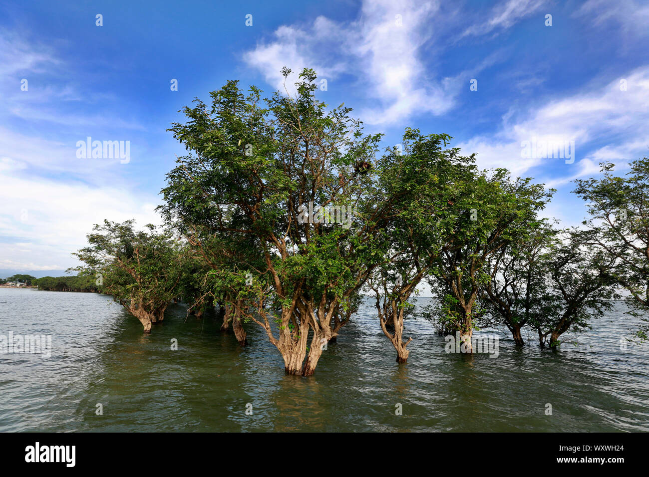 Sunamganj, Bangladesh - September 11, 2019: Tanguar haor located in the ...