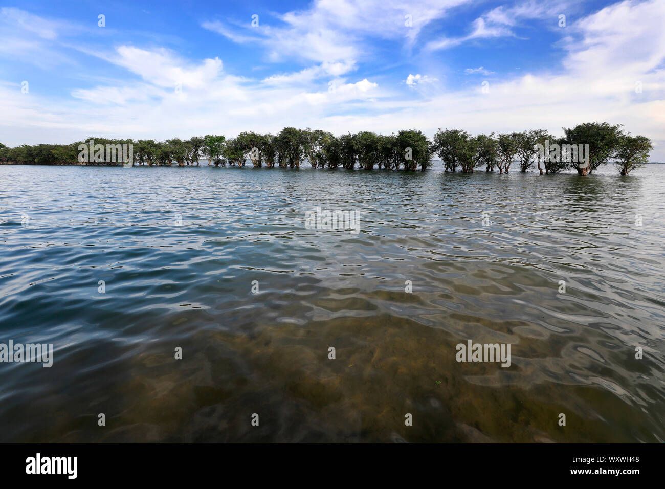 Sunamganj, Bangladesh - September 11, 2019: Tanguar haor located in the ...