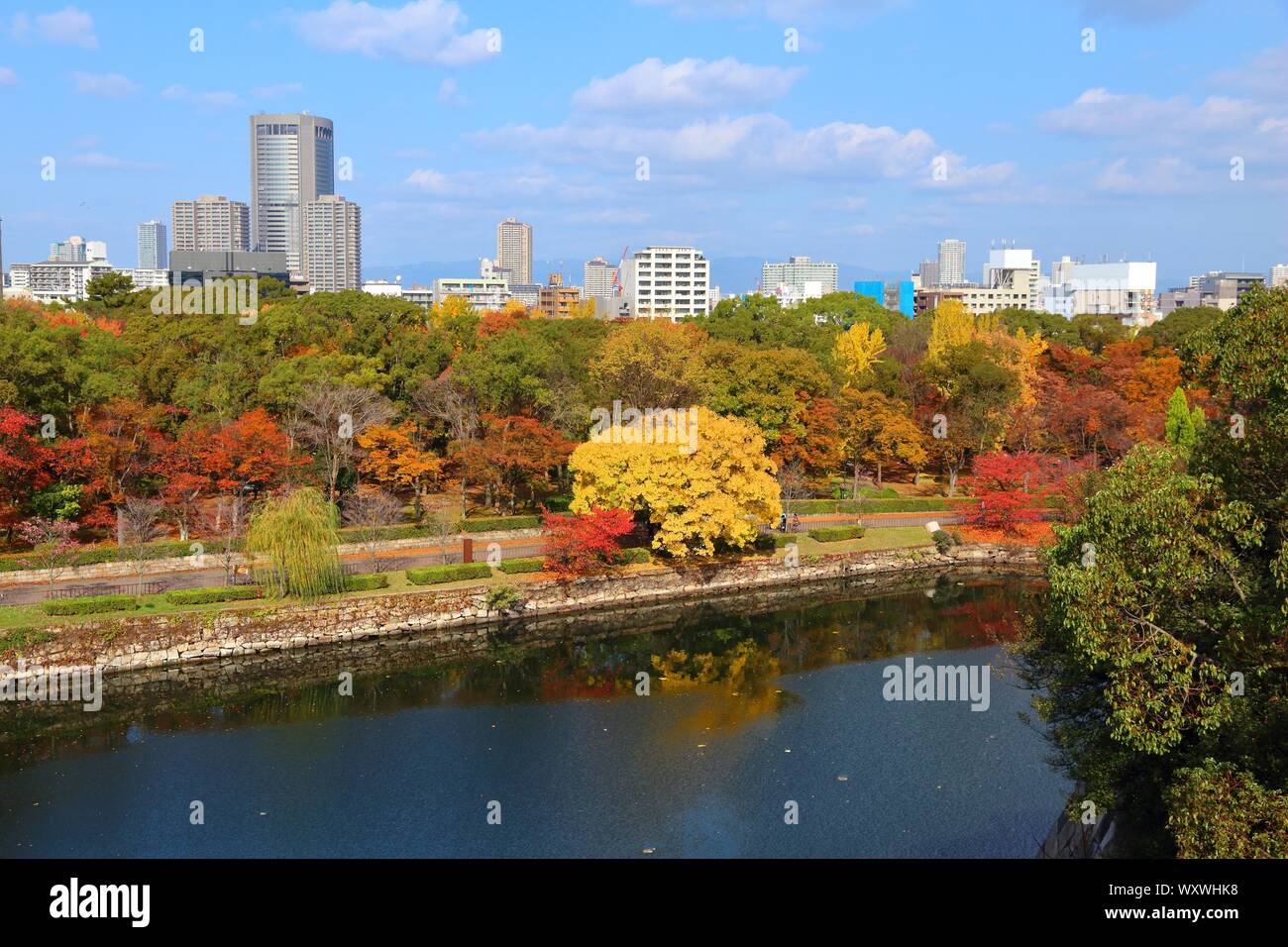 Autumn ginkgo osaka castle osaka hi-res stock photography and images ...