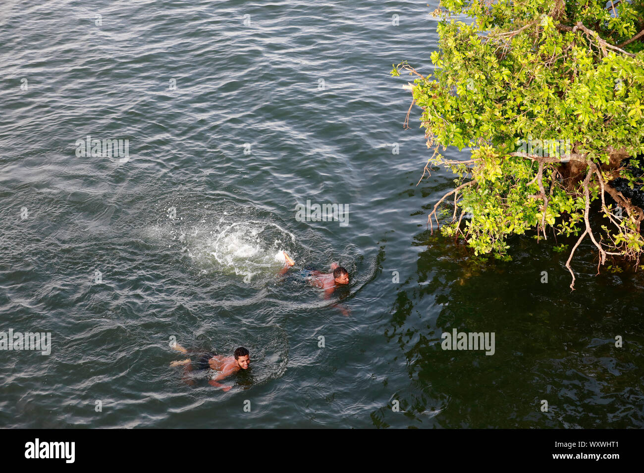 Beauty of tanguar haor hi-res stock photography and images - Alamy