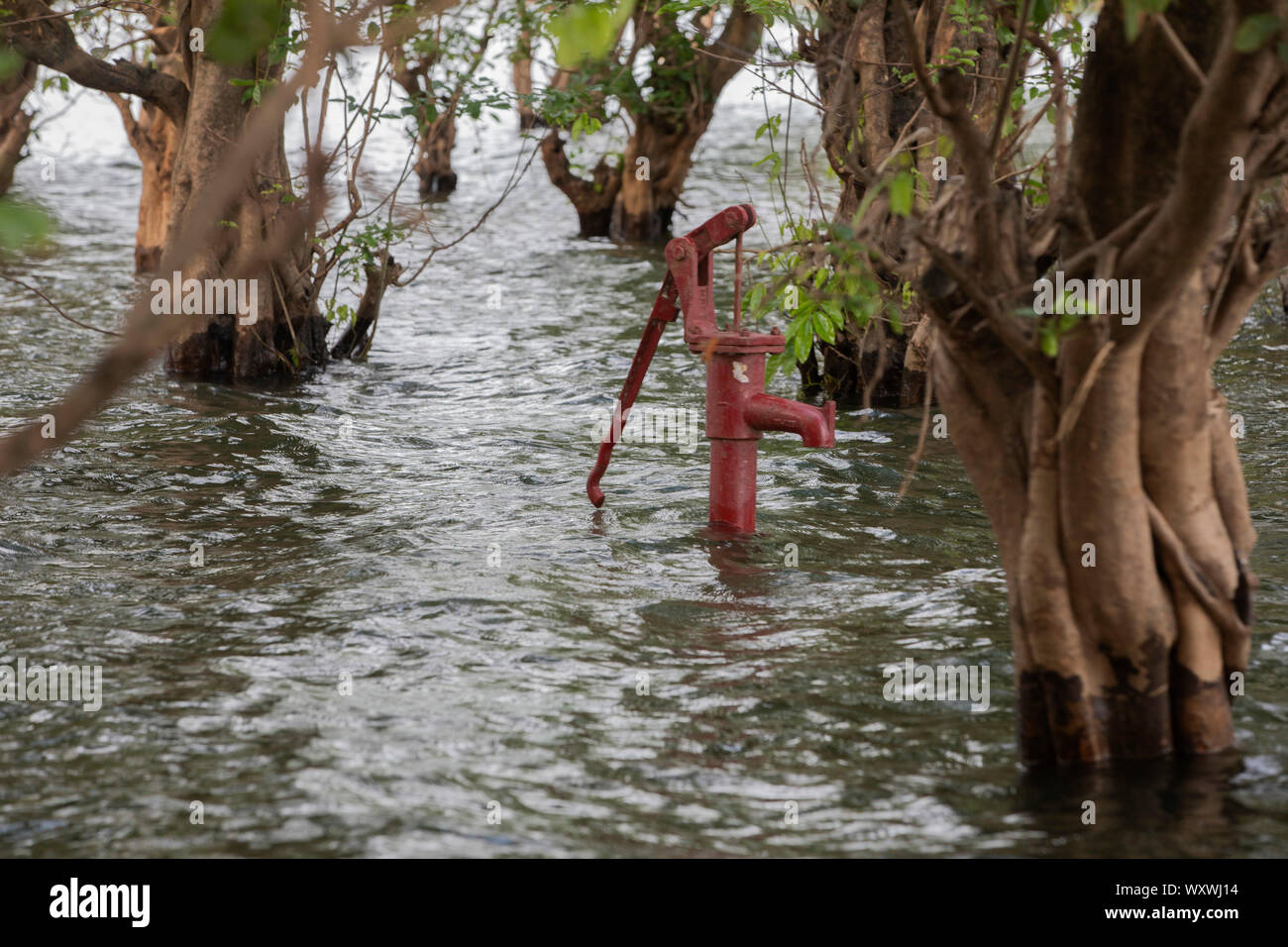 Sunamganj, Bangladesh - September 11, 2019: Tanguar haor located in the ...