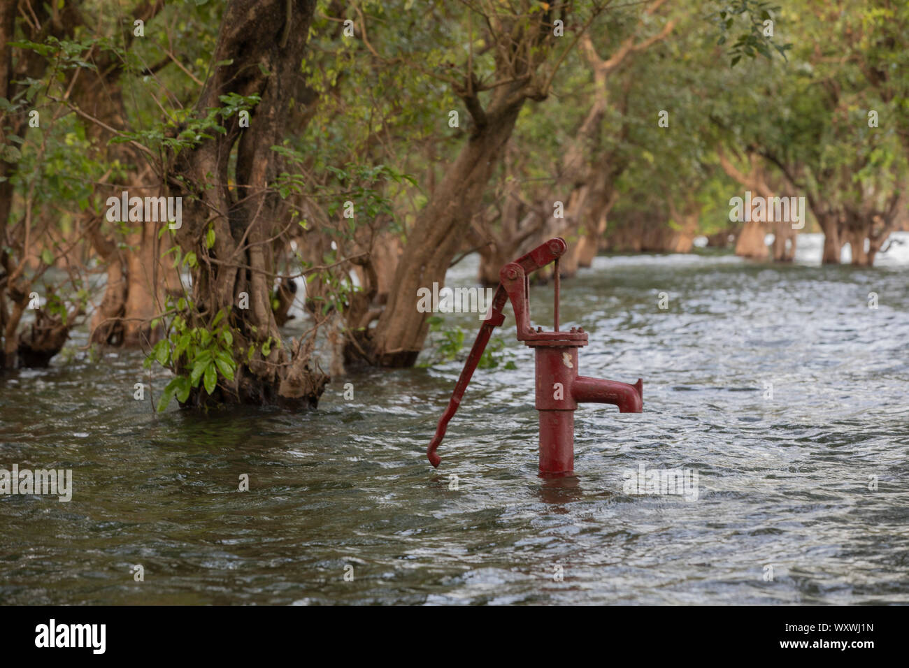 Beauty of tanguar haor hi-res stock photography and images - Alamy