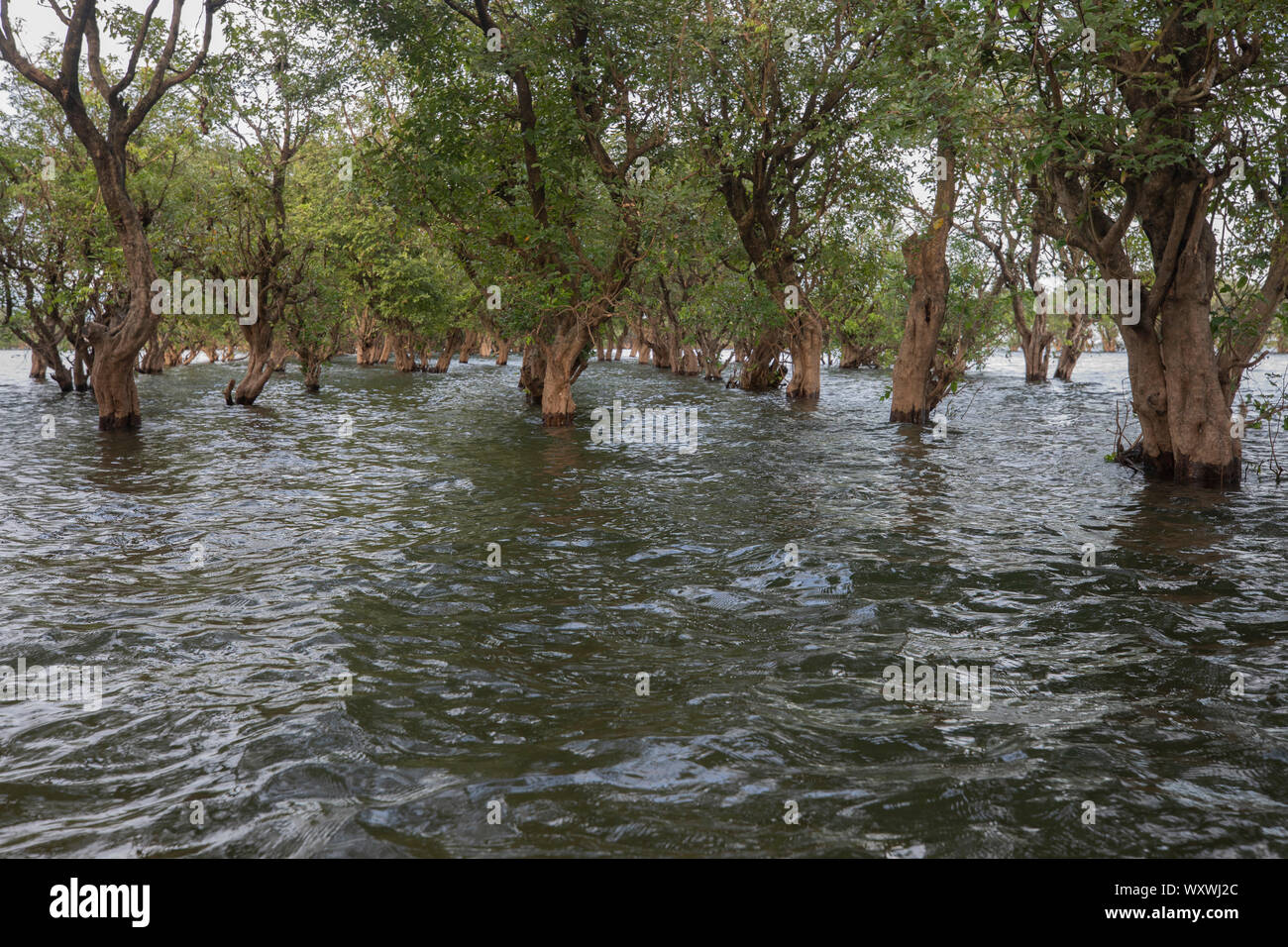 Sunamganj, Bangladesh - September 11, 2019: Tanguar haor located in the ...