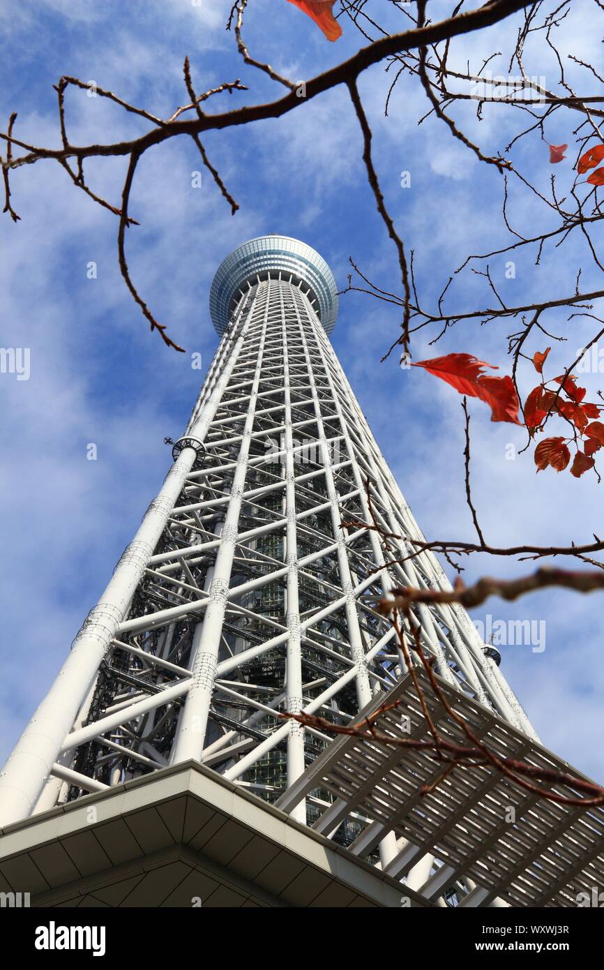 TOKYO, JAPAN - NOVEMBER 30, 2016: Tokyo Skytree Tower in Japan. The 634m tall TV tower is the ...