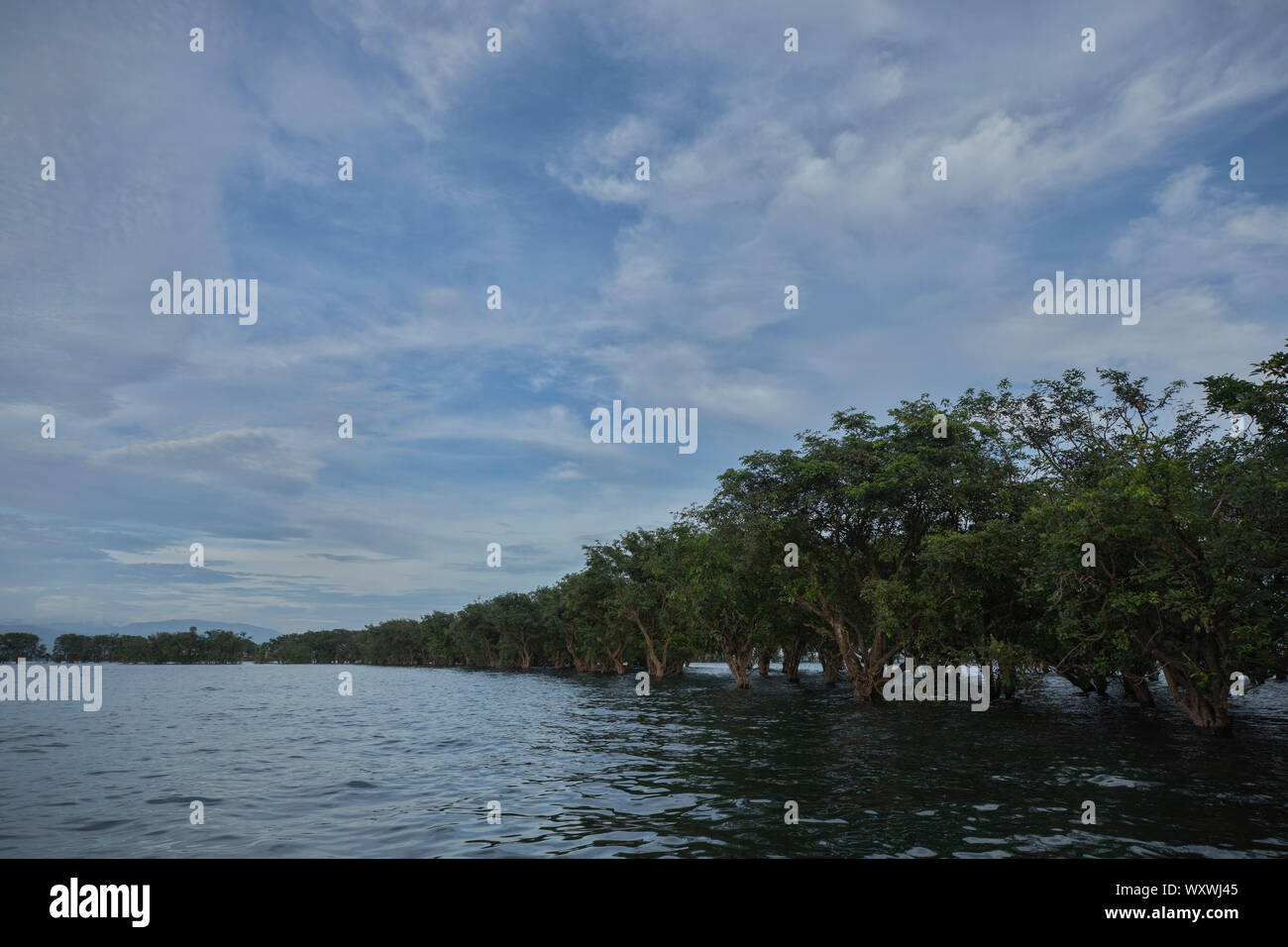Sunamganj, Bangladesh - September 11, 2019: Tanguar haor located in the ...