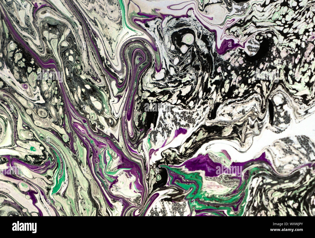 Pancreas cell micrograph hi-res stock photography and images - Alamy