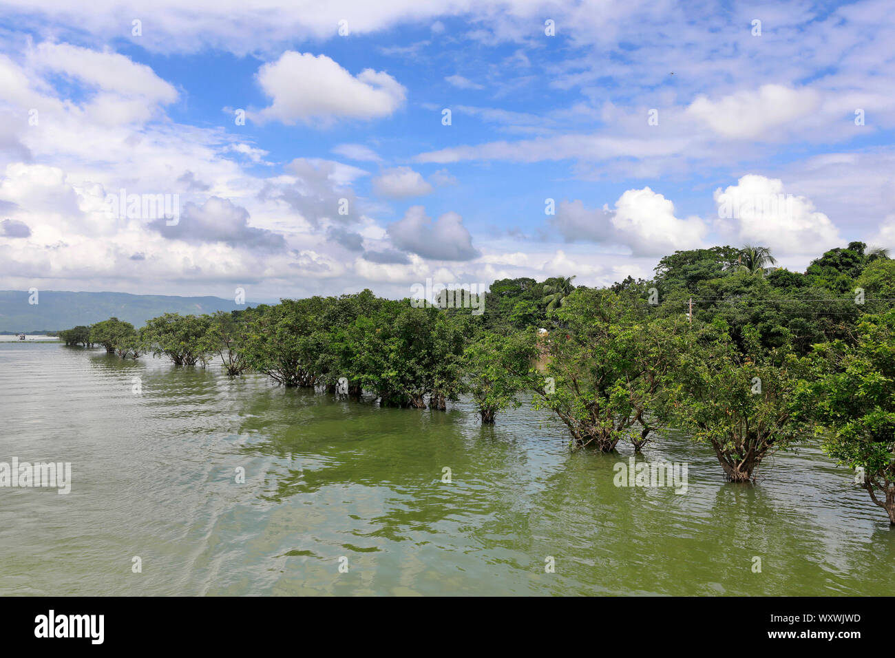 Sunamganj, Bangladesh - September 11, 2019: Tanguar haor located in the ...