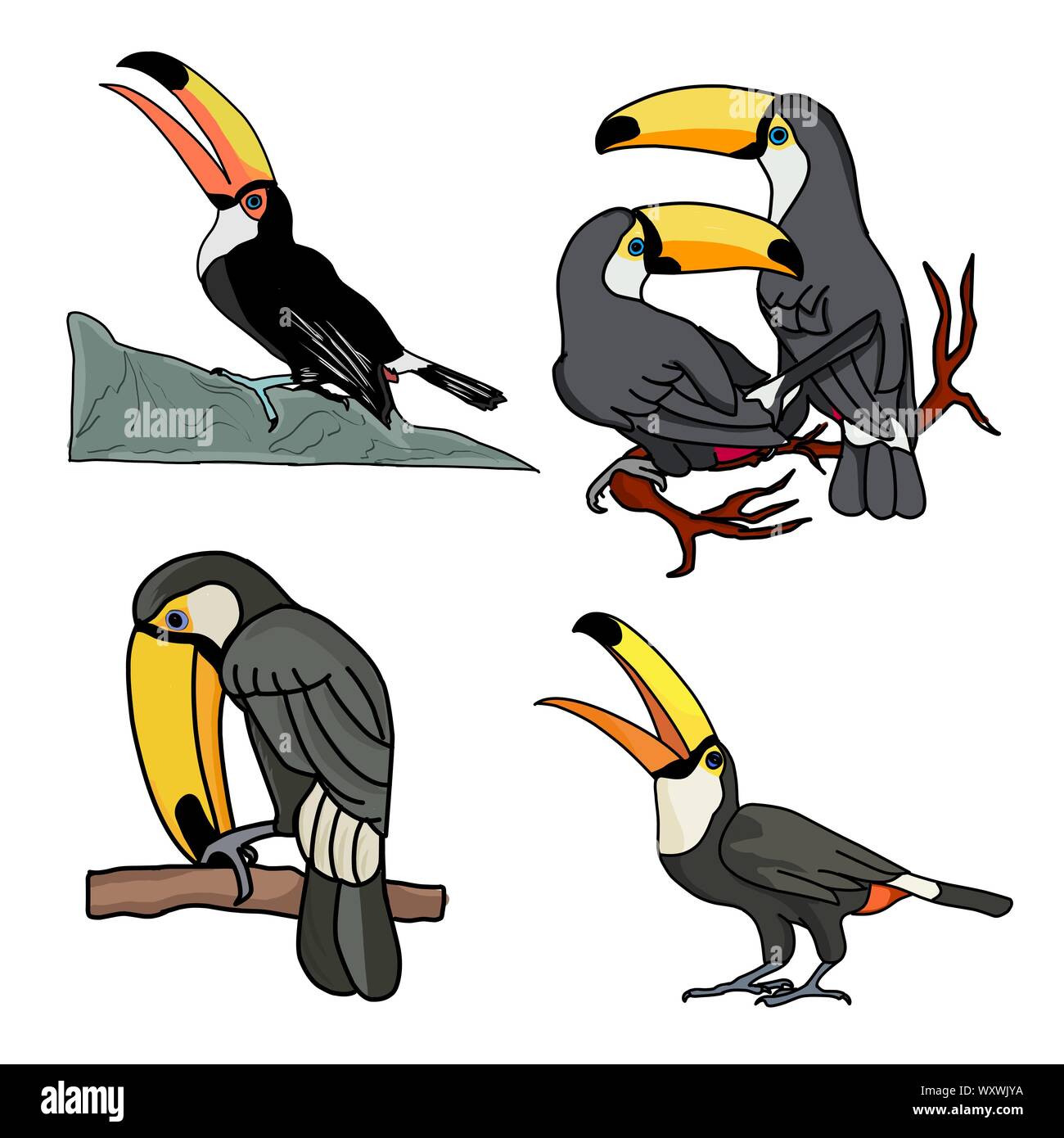 Exotic bird toucan. Hand drawn toucan on white background. Vector set ...