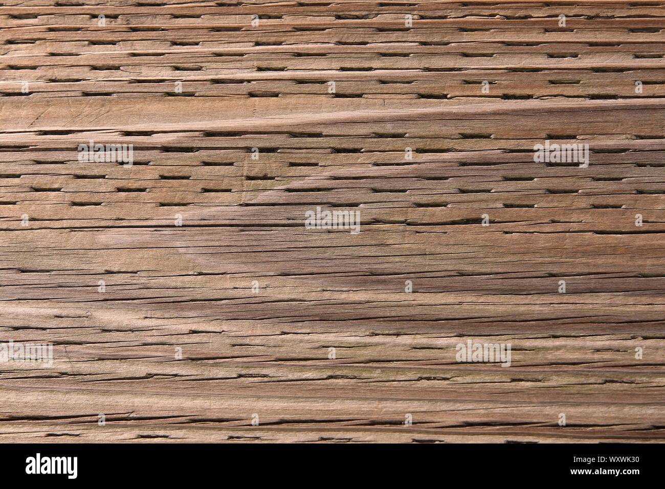 Wooden surface background - flat wood texture backdrop Stock Photo - Alamy