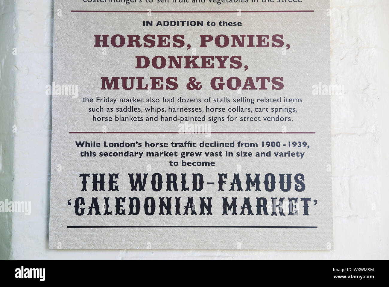 Caledonian market hi-res stock photography and images - Alamy