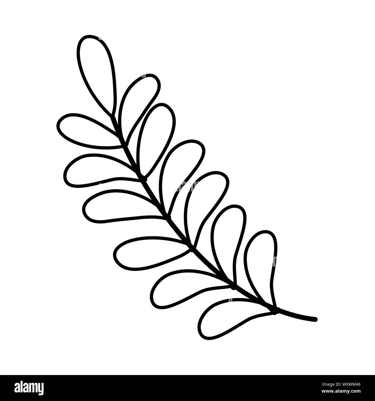 Leaf design, Plant floral garden nature decoration ornament and season ...