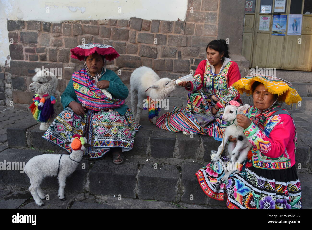 Women traditional costume alpacas hi-res stock photography and images ...