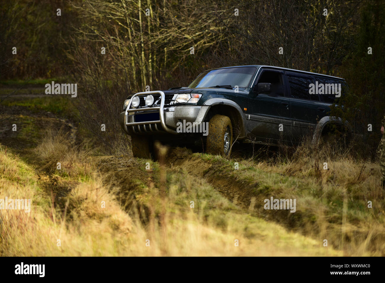 Car racing in autumn forest. Extreme, challenge, and 4x4 vehicle ...