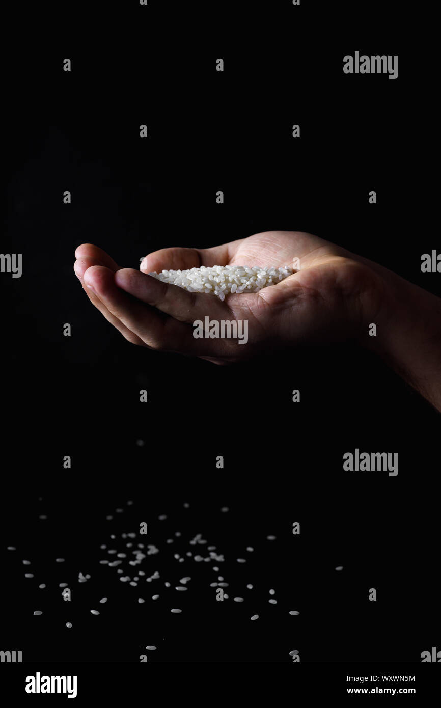 Rice falling through the fingers of male hand. Dark background Stock ...