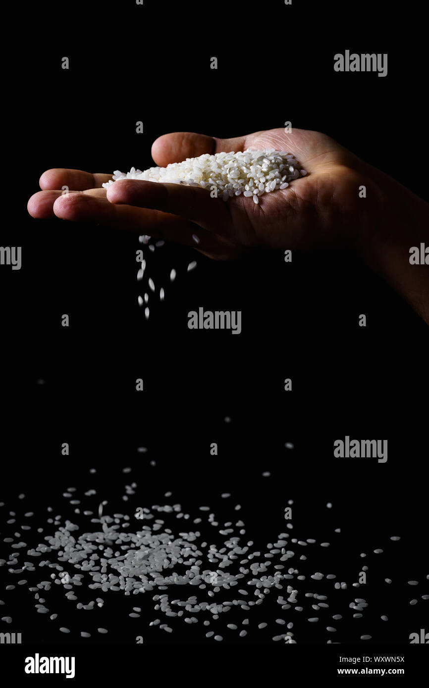 Rice falling through the fingers of male hand. Dark background Stock ...