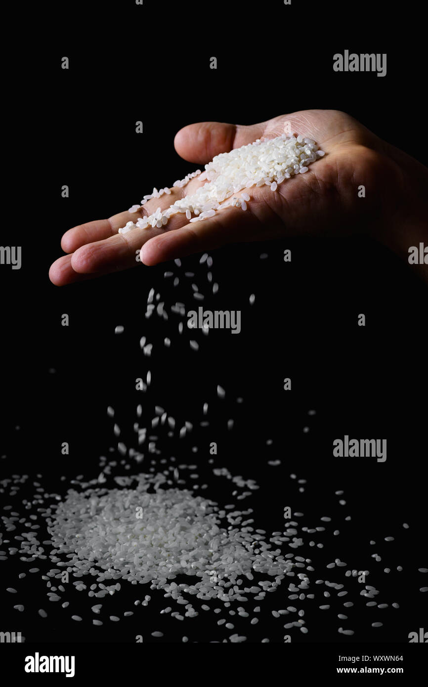 Rice falling through the fingers of male hand. Dark background Stock ...