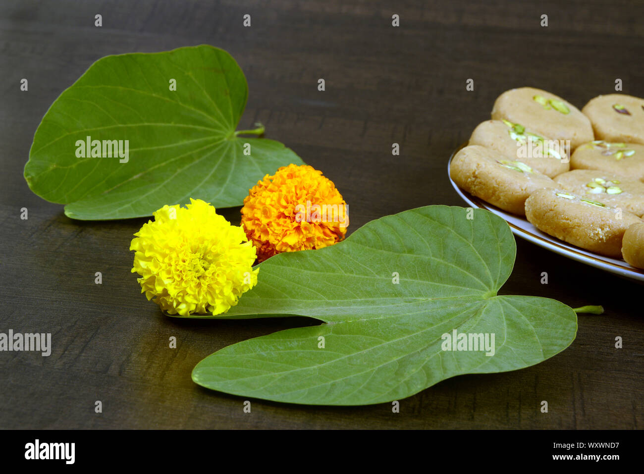 Apta leaf hi-res stock photography and images - Alamy
