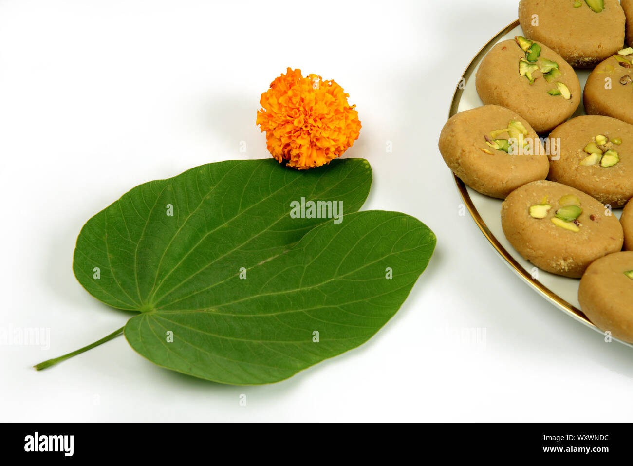 Apta leaf hi-res stock photography and images - Alamy