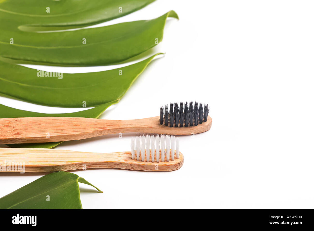 Bamboo brushes lying on green monstera leaf , close-up Stock Photo - Alamy
