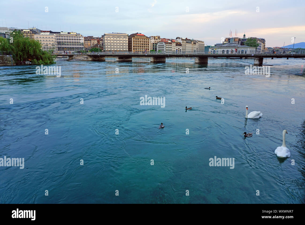 GENEVA, SWITZERLAND -24 JUN 2019- View of the Pont des Bergues bridge ...