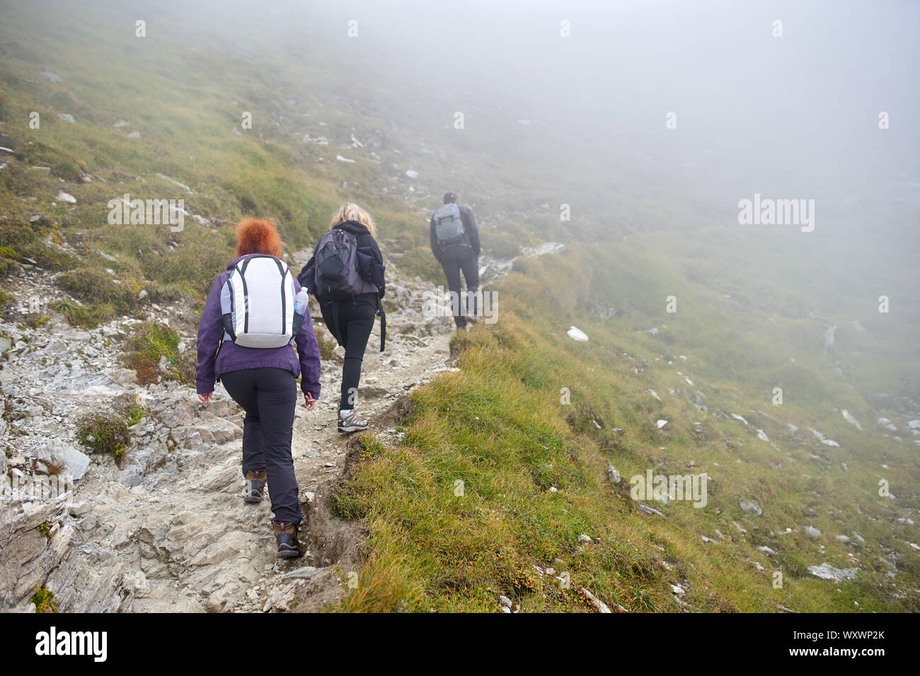 Group of people with backpacks hiking on a mountain trail Stock Photo ...
