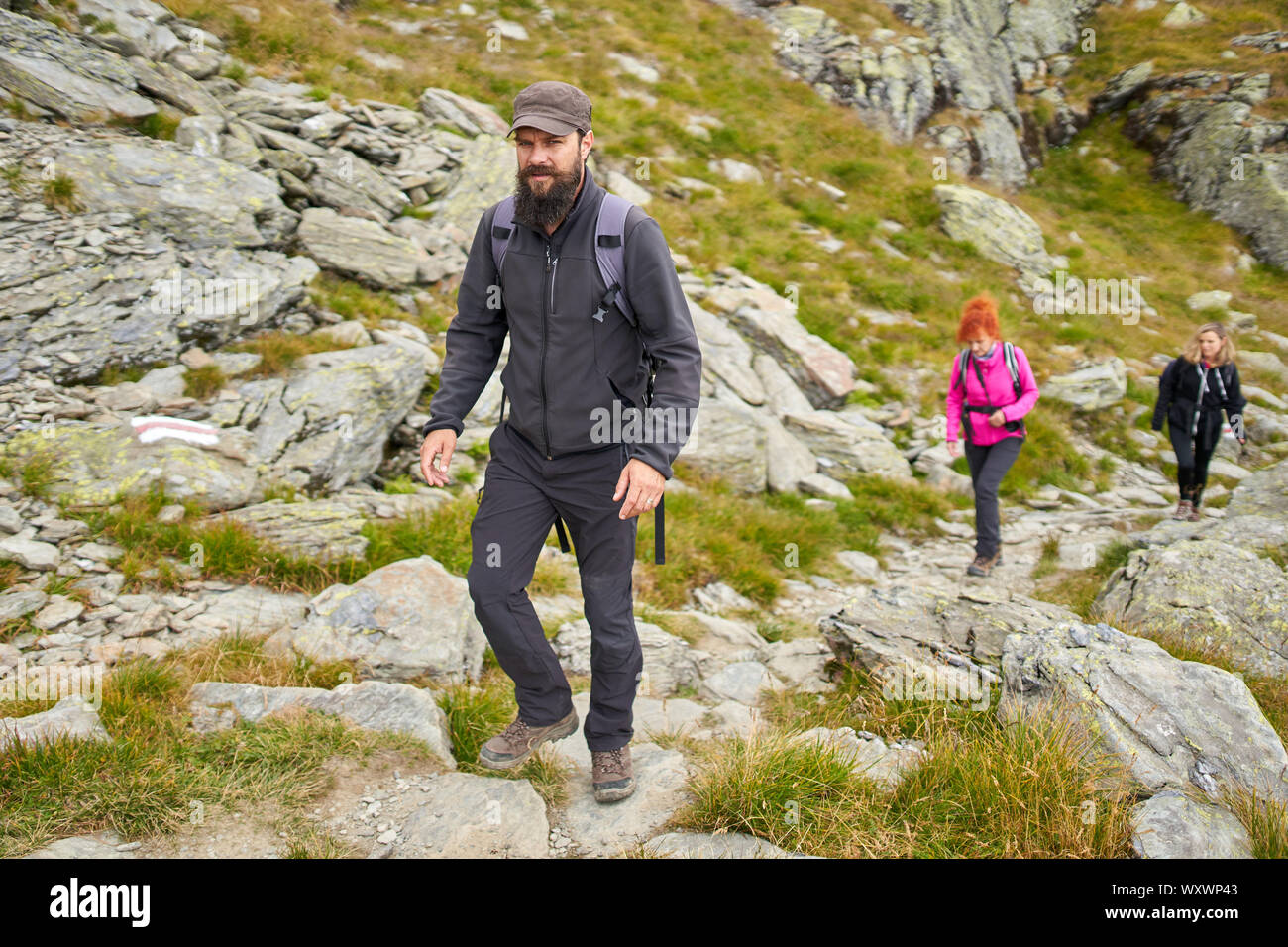 Group of people with backpacks hiking on a mountain trail Stock Photo ...