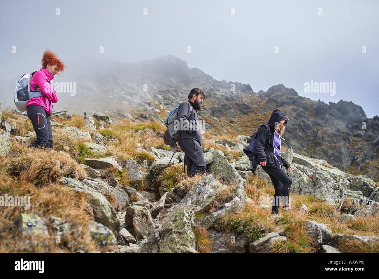 Group of people with backpacks hiking on a mountain trail Stock Photo ...