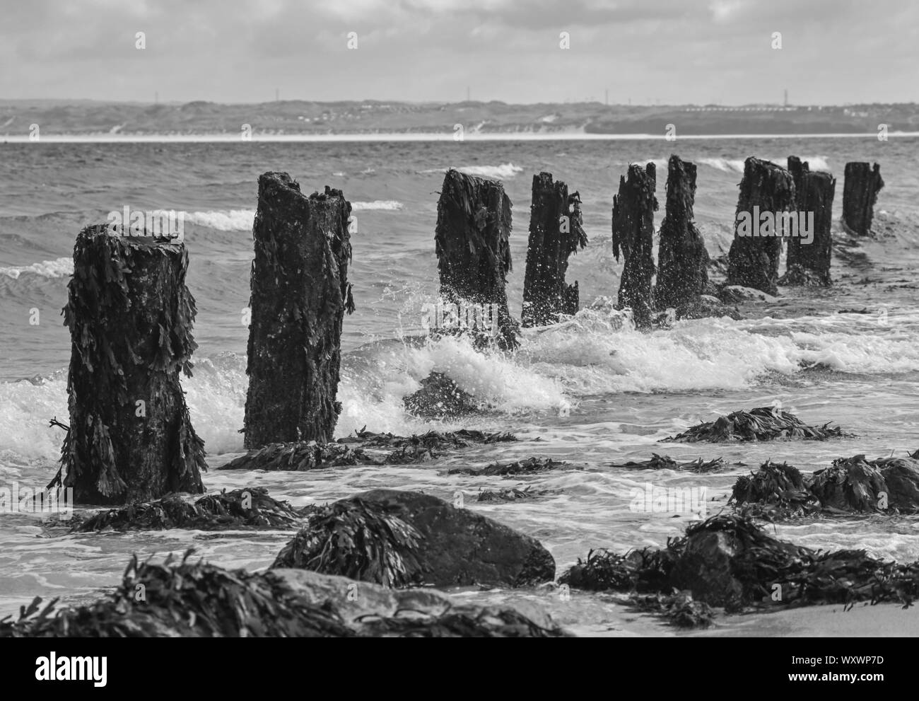 Covered jetty Black and White Stock Photos & Images - Alamy
