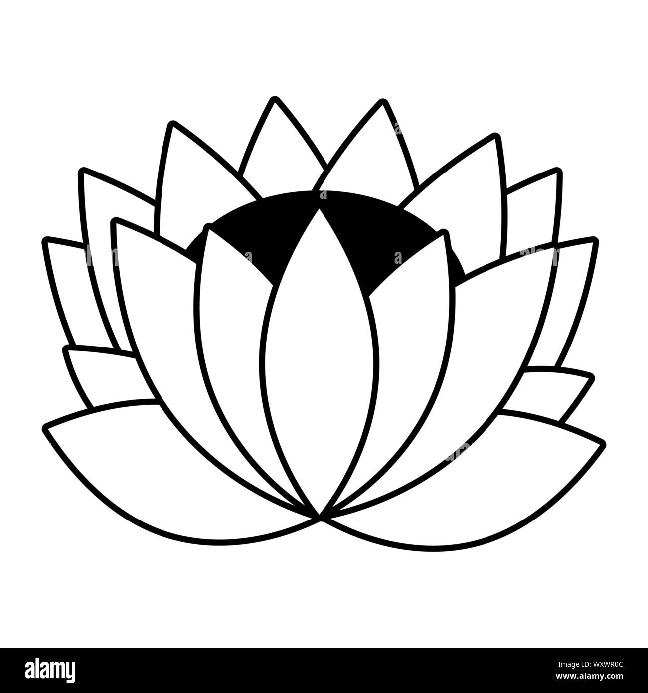 Lotus fower design, floral nature plant ornament garden decoration and ...