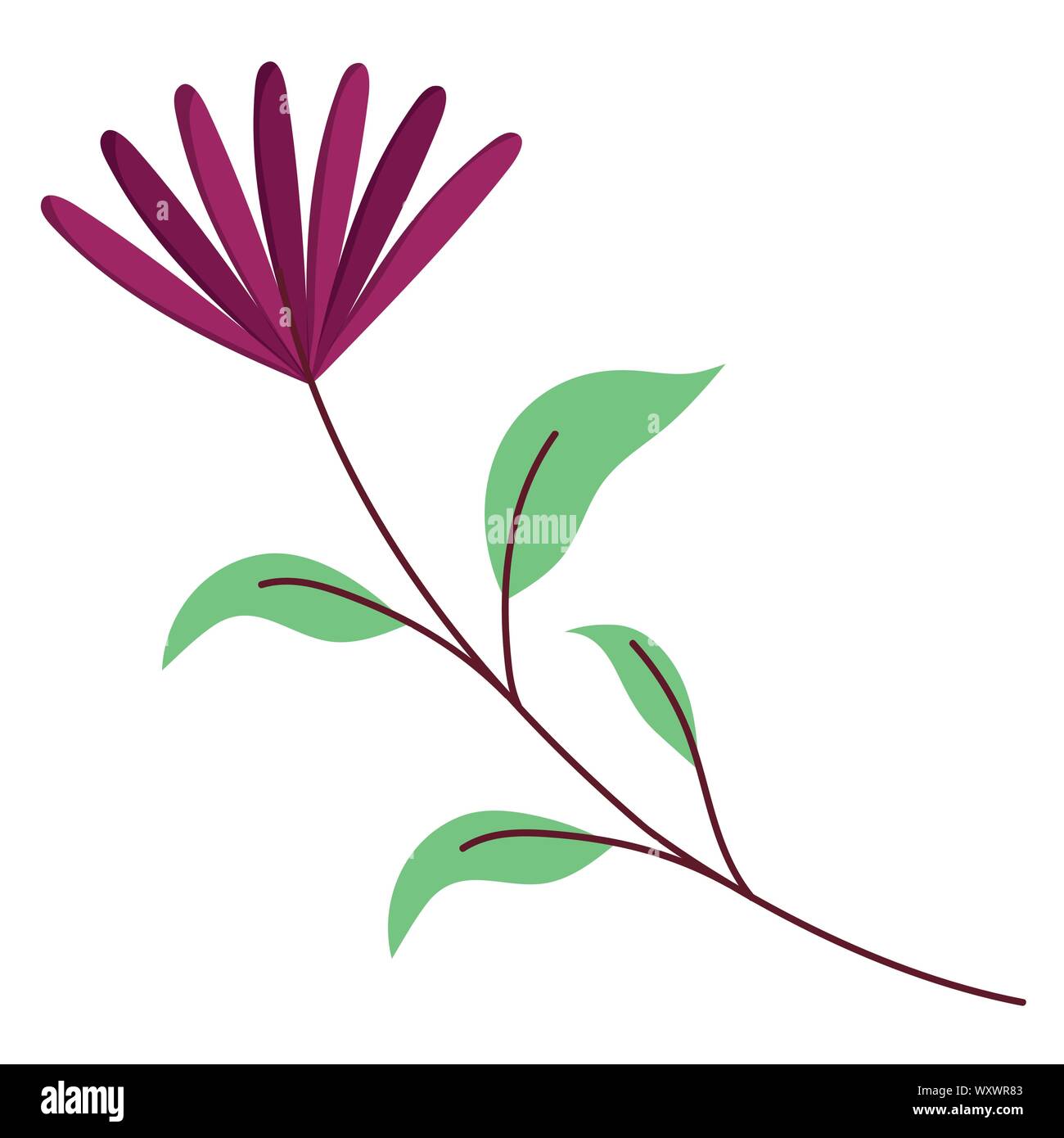 Flower design, floral nature plant ornament garden decoration and ...