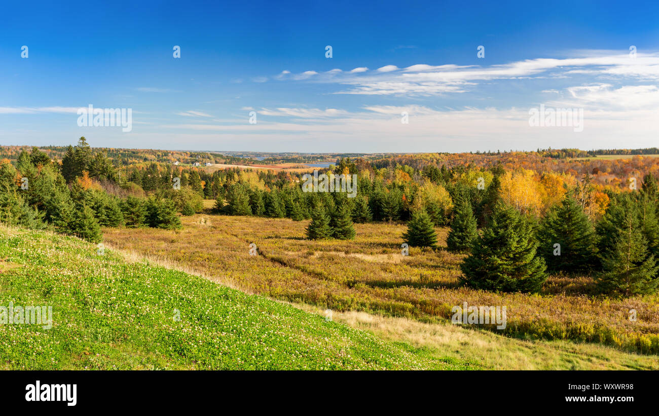 Prince edward island forest trail hi-res stock photography and images ...