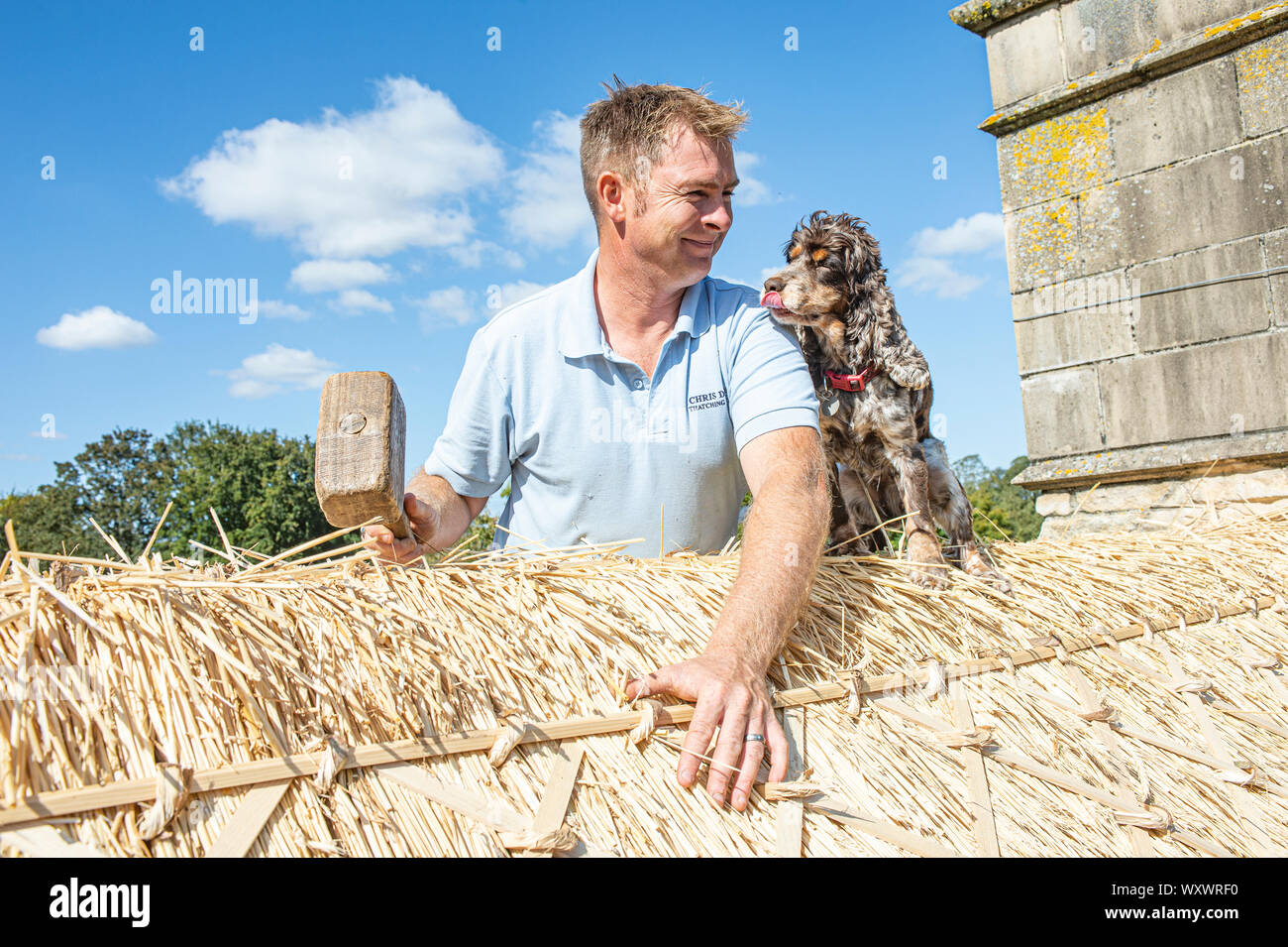 Master thatcher hi-res stock photography and images - Alamy