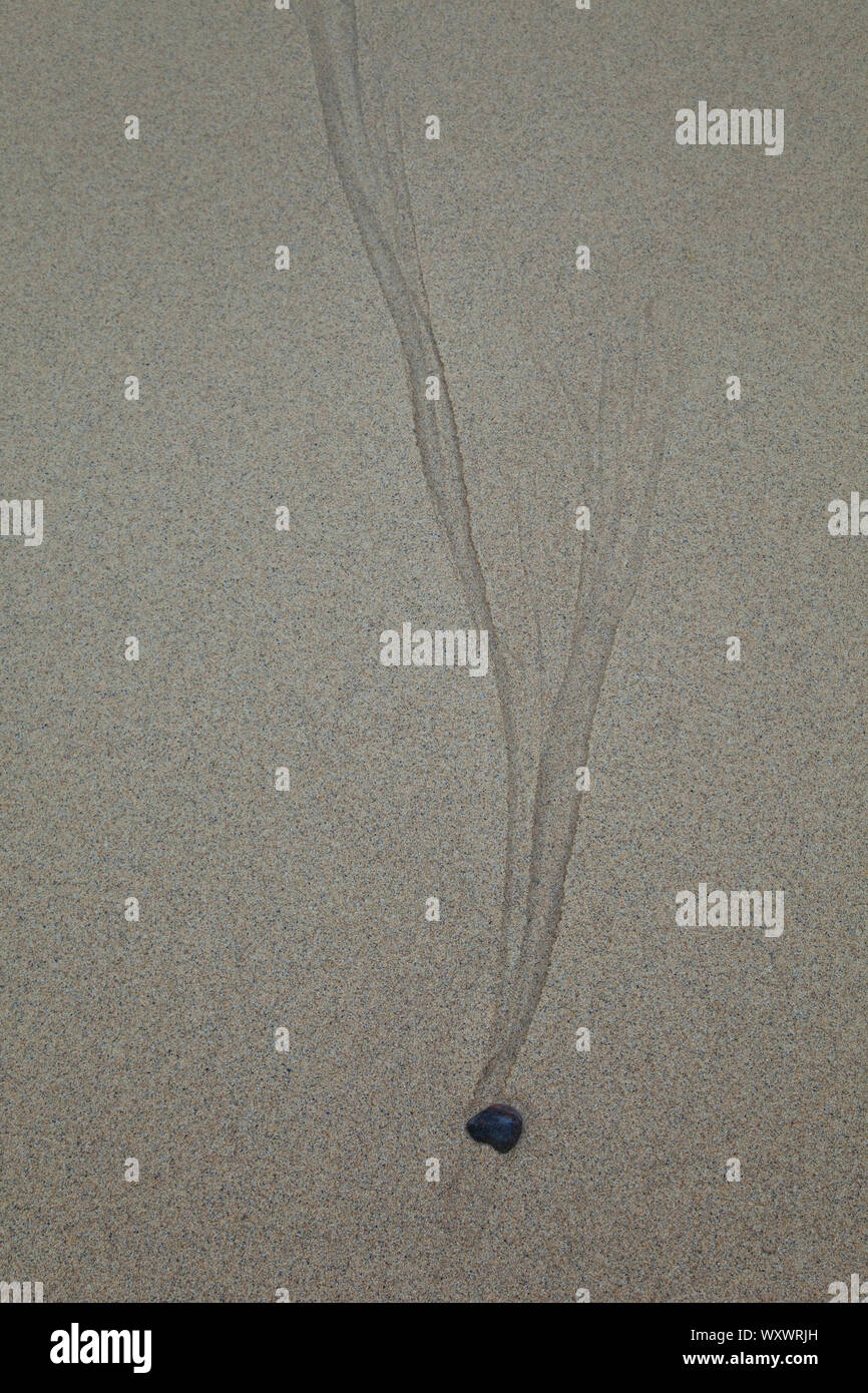 Sand Patterns (Diseños naturales en la arena). Dhail Mor Beach. Lewis ...