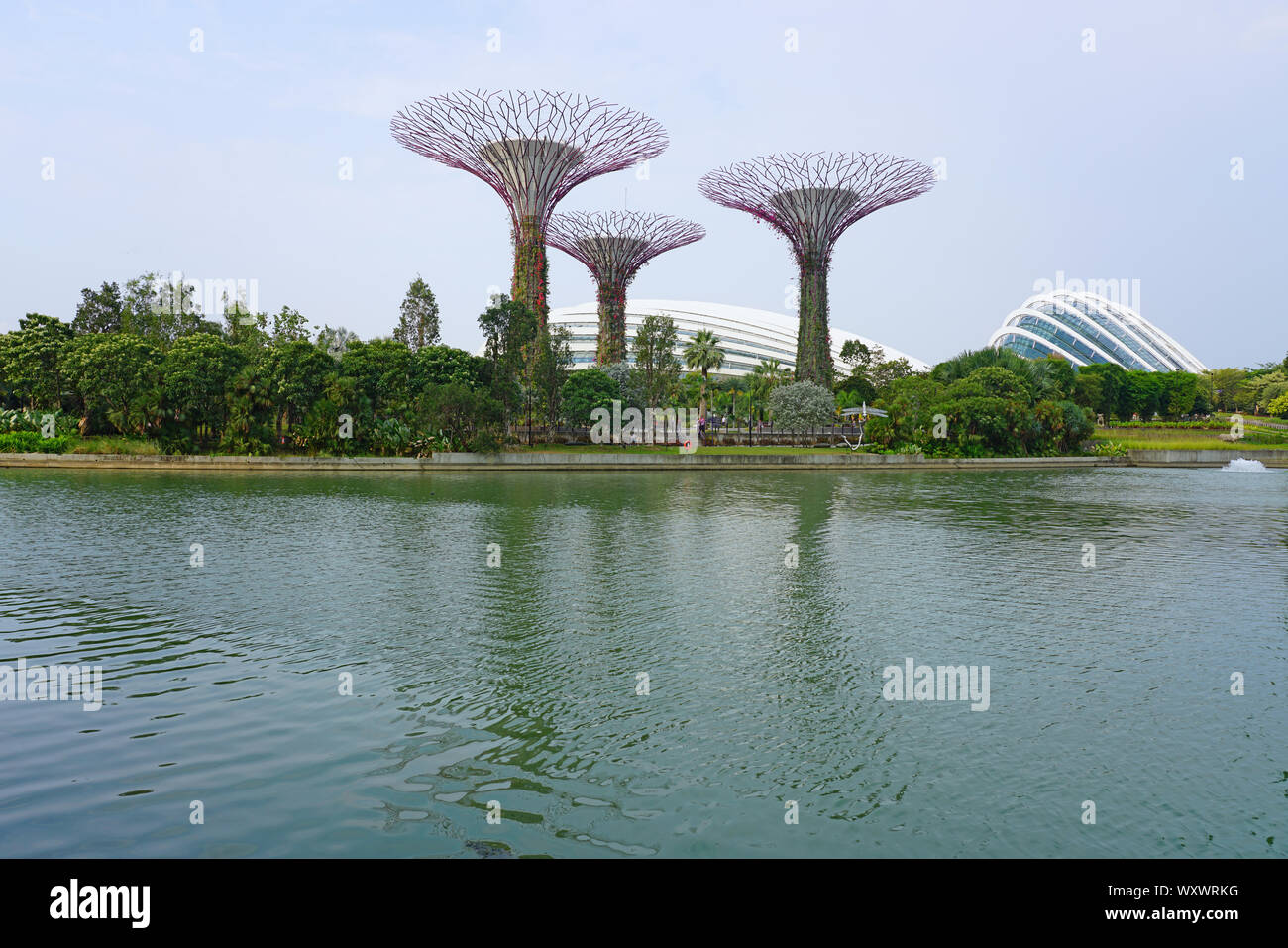 SINGAPORE -25 AUG 2019- View of the Supertree Grove, man-made metal ...