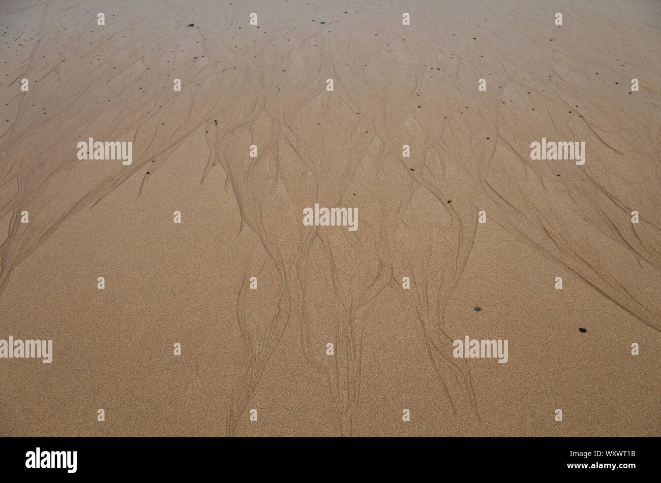 Sand Patterns (Diseños naturales en la arena). Dhail Mor Beach. Lewis ...