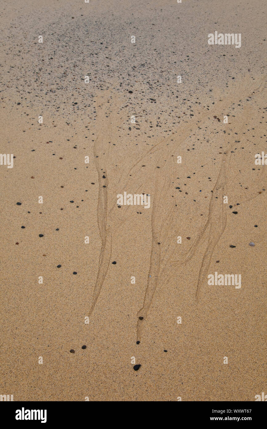 Sand Patterns (Diseños naturales en la arena). Dhail Mor Beach. Lewis ...