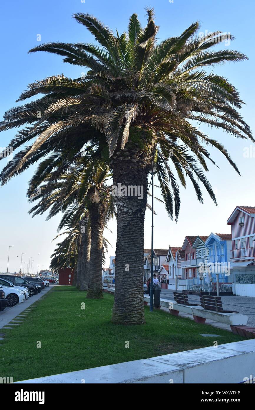 Colorful houses, a delightfully typical and traditional landscape of ...