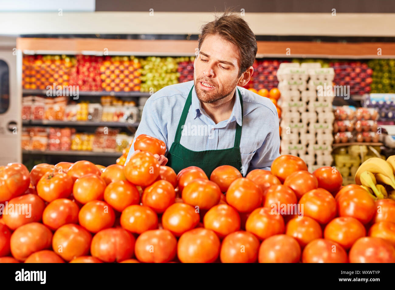 Young man as a trainee salesman sorts tomatoes in the vegetable section ...