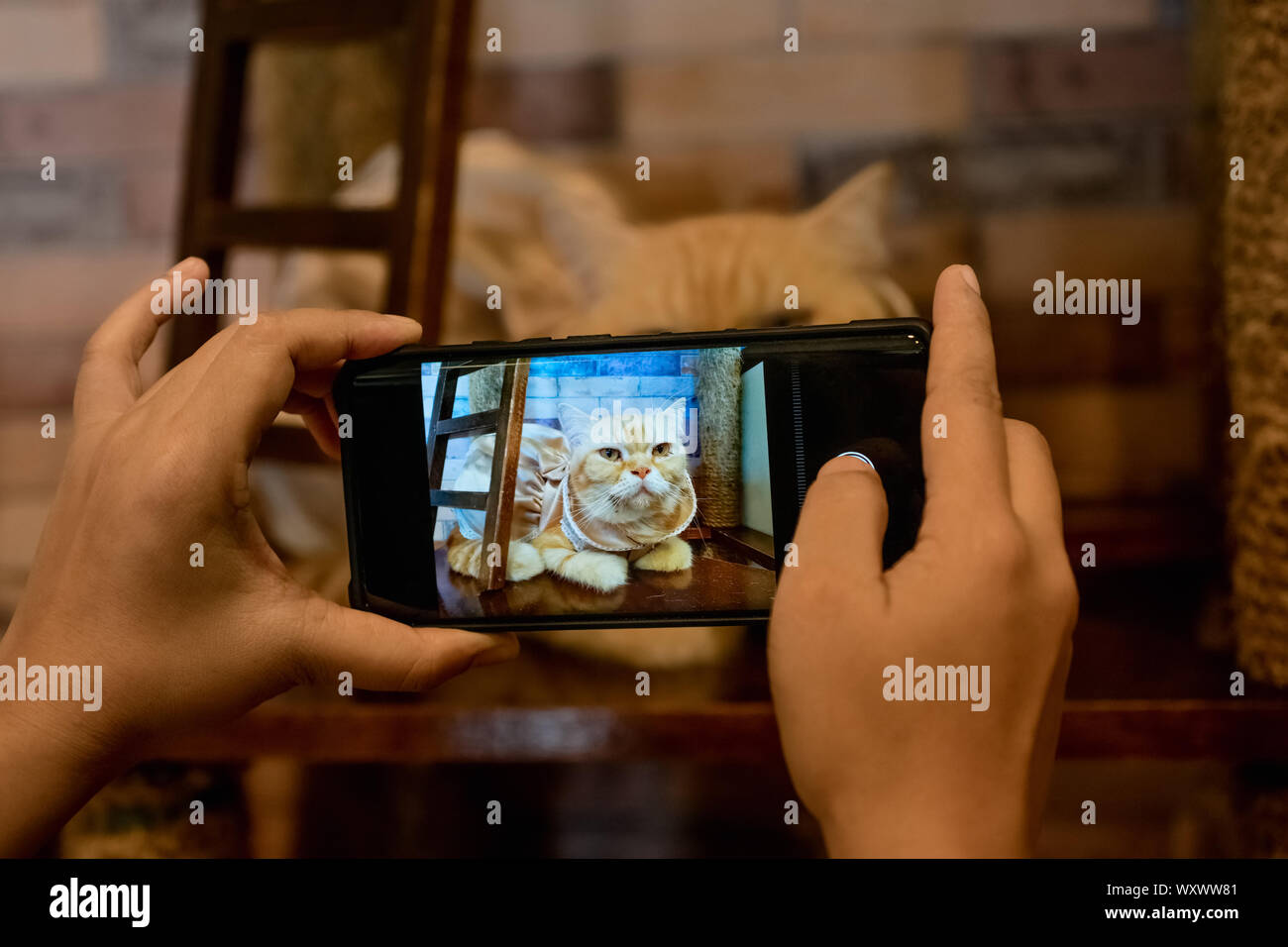 Snapping photograph hi-res stock photography and images - Alamy