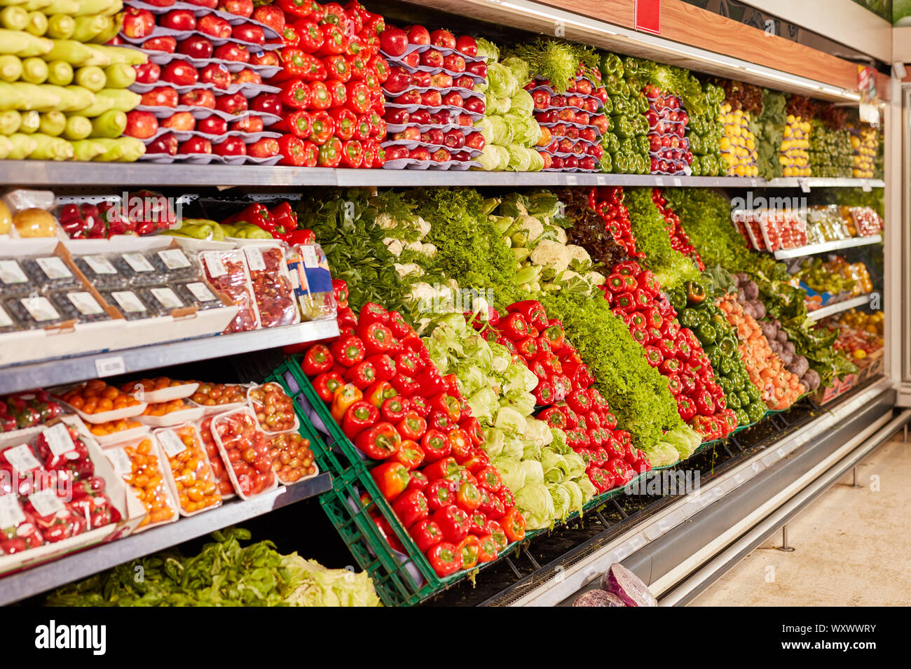 Many varieties of vegetables in the supermarket shelf as a symbol of ...
