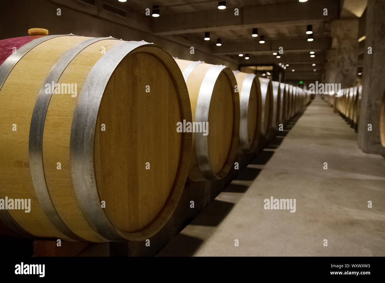 Winemaker in cellar making wine hi-res stock photography and images - Alamy
