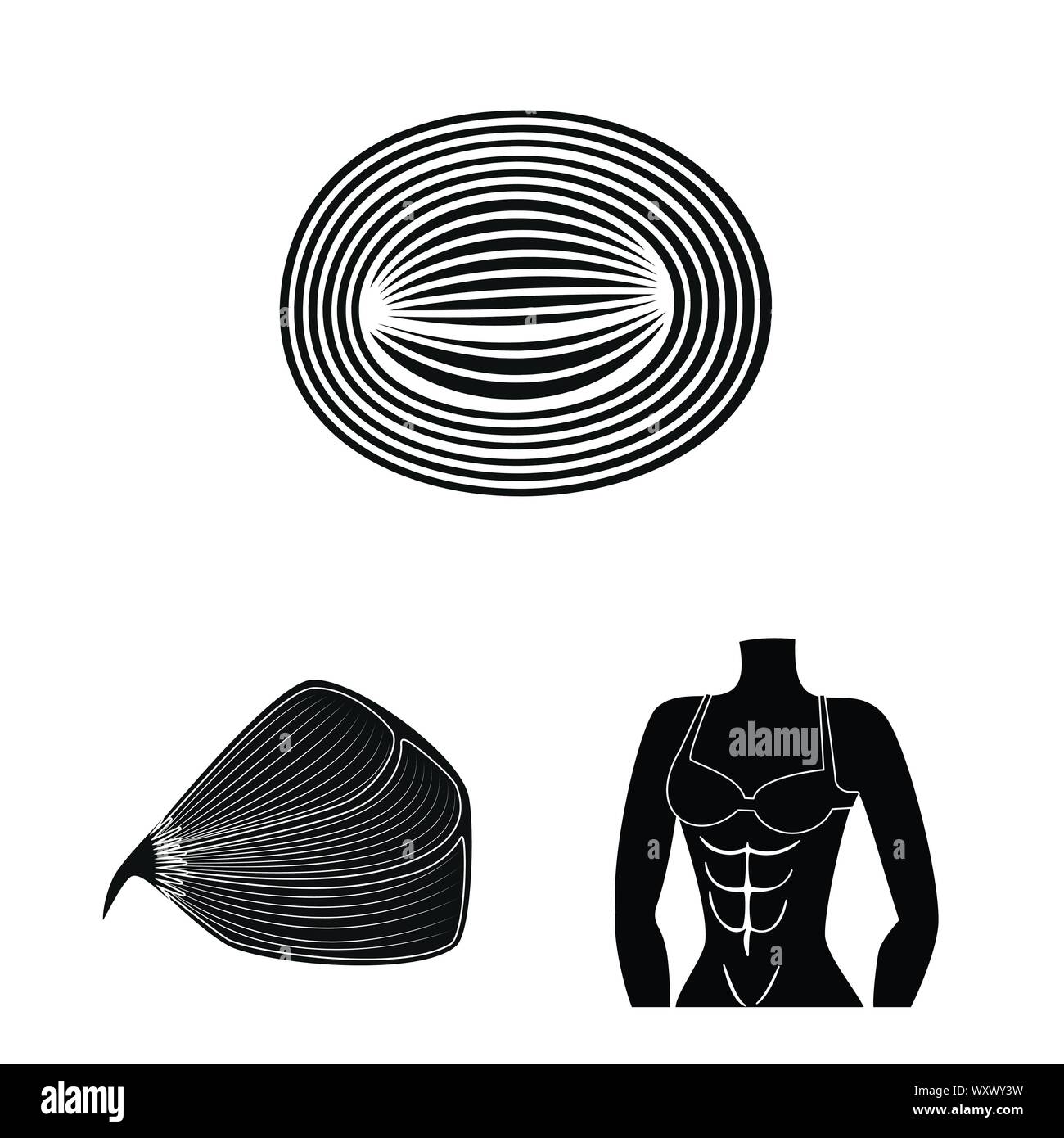 Isolated object of human and body logo. Collection of human and cells ...